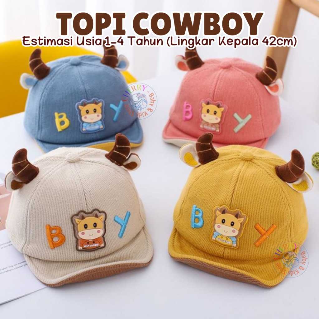 Jual Topi Cowboy 6 Bulan - 4 Tahun Topi Baseball bayi laki cow boy ...