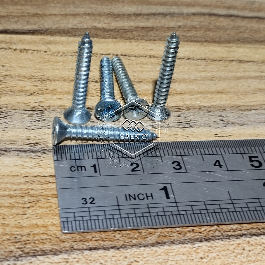 Jual SEKRUP SKRUP FH FAB F+AB TAPPING 6X1 PANJANG 2,5CM TAPING SCREW 6 X 1 2,5 CM OBENG PLUS ...
