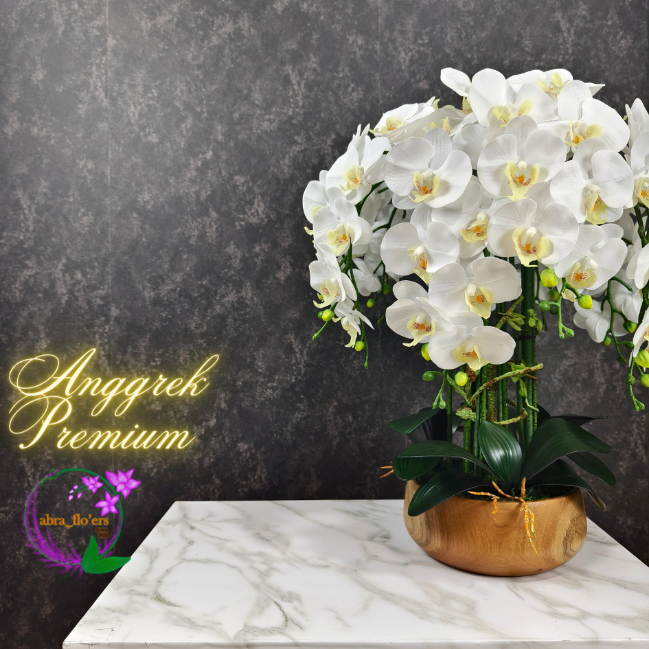 Jual Abra Floers - Anggrek Latex Putih - Pot Kayu Jati - Real Pic ...