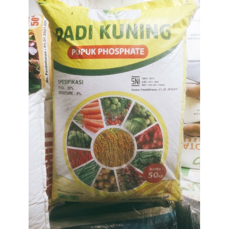 Jual PUPUK SP PHOSPAT PADI KUNING ORIGINAL 50KG | Shopee Indonesia