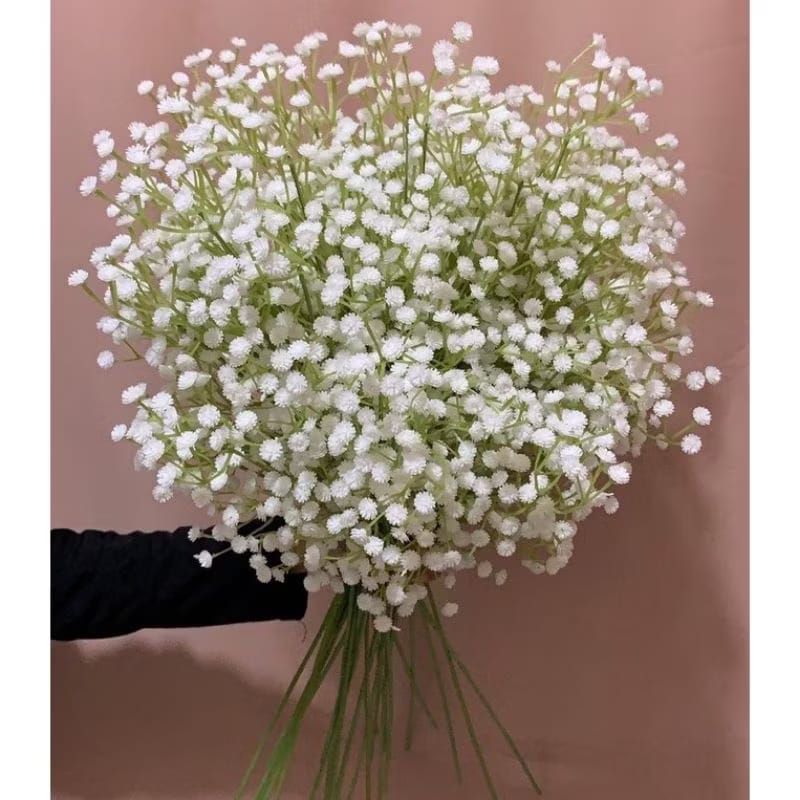 Jual Bunga Baby Breath Panjang Putih Dekorasi Hiasan Buket Pelaminan ...