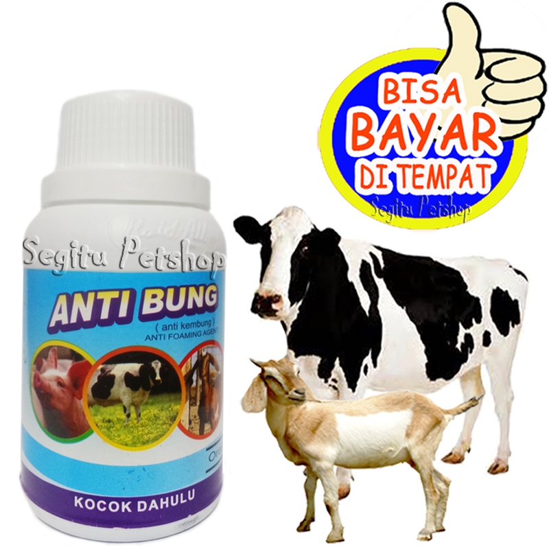 Jual Obat Mencret Kambing Sapi Kembung Pencernaan Diare Anti Bung ...