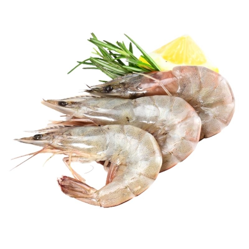 Jual udang segar/pasar daya/lelong Daya | Shopee Indonesia