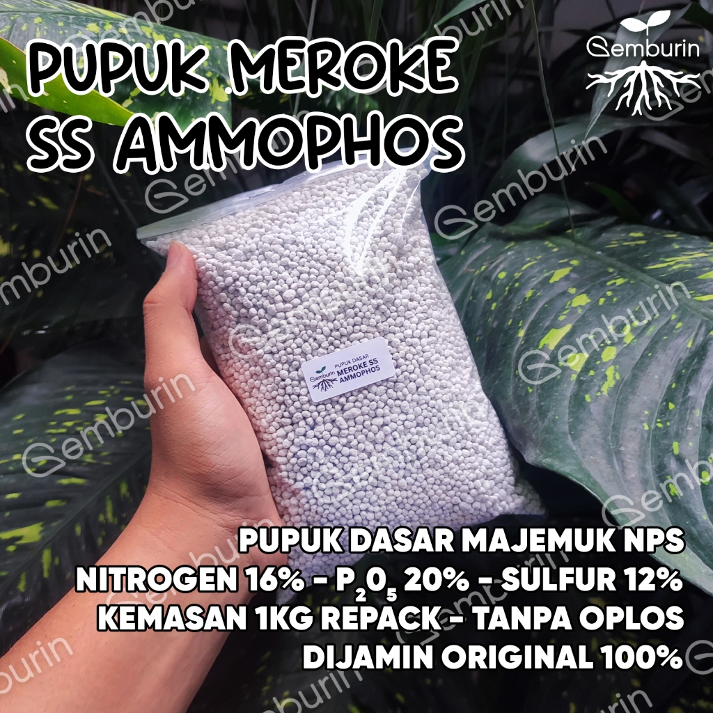Jual Pupuk Meroke SS Ammophos 1 kg Kemasan REPACK / Pupuk Majemuk ...