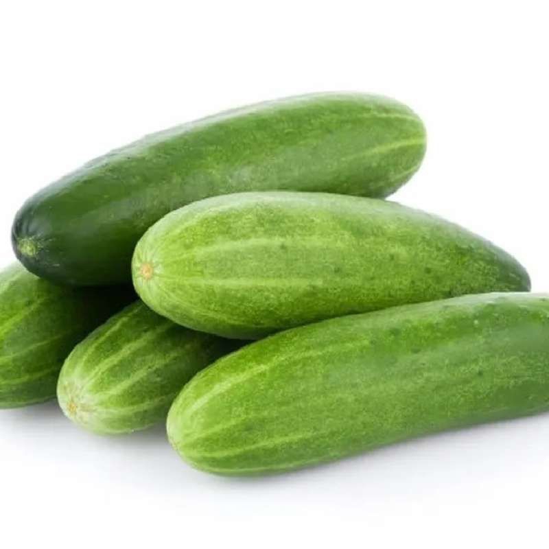 Jual Timun 1 Kg Terlengkap & Harga Terbaru Juni 2026 | Shopee Indonesia