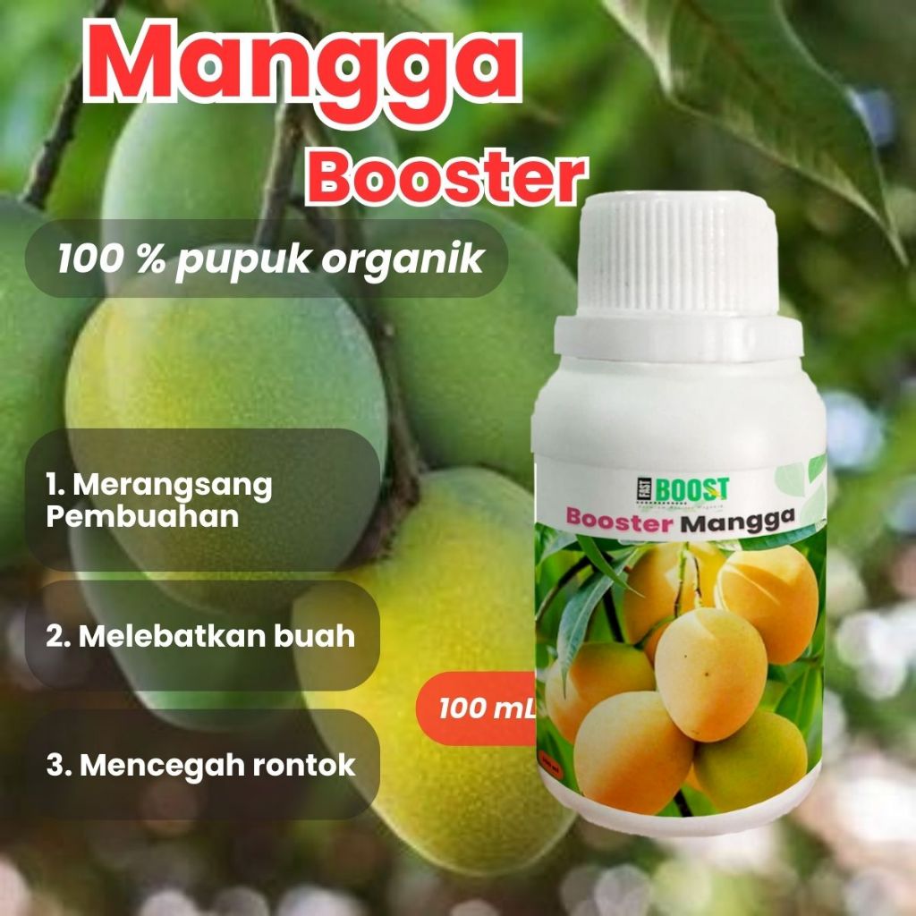 Jual Pupuk Booster pro Mangga Pelebat Buah Perangsang Terbaik Semprot dan Siram | Shopee Indonesia
