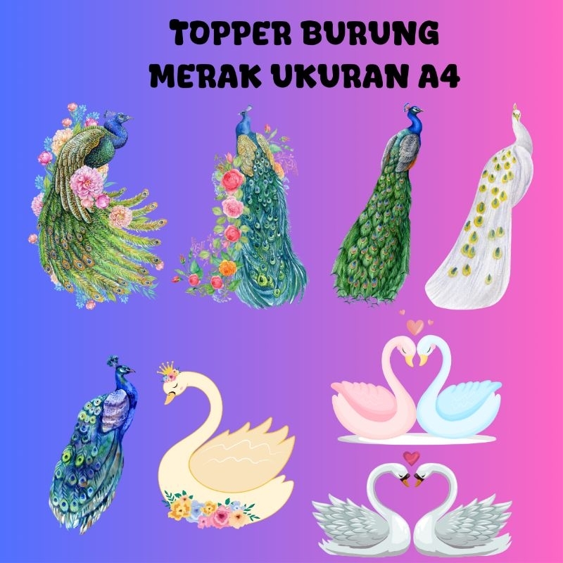 Jual TOPPER BURUNG MERAK UKURAN A4/HIASAN MAHAR/HIASAN BUKET | Shopee ...