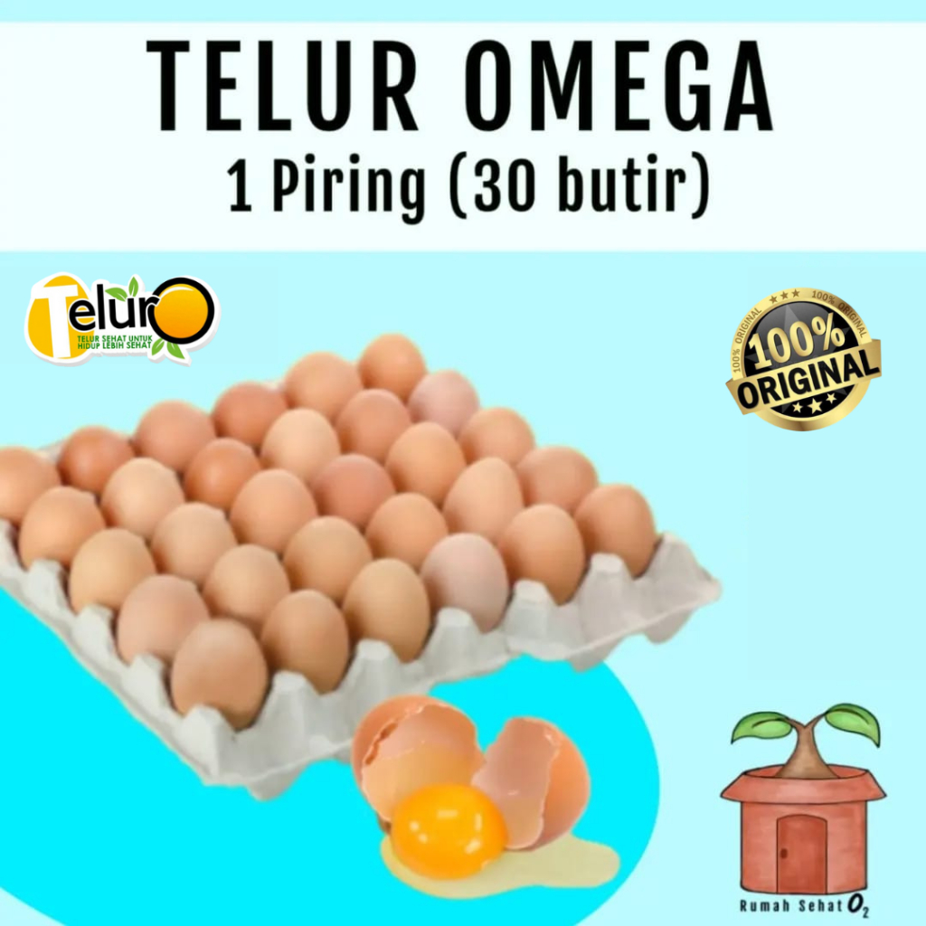 Jual TELUR O - Ayam Organik Probiotik Lactobacillus Sehat Pack Kaya ...