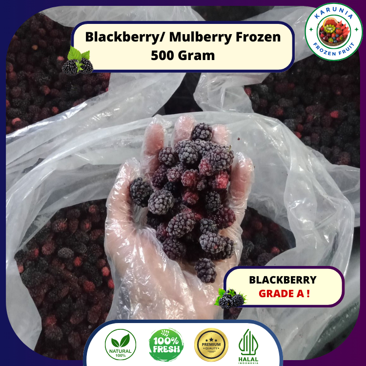 Jual Blackberry Frozen/ Mulberry beku/ buah mulberries 500 gram GRADE A ...