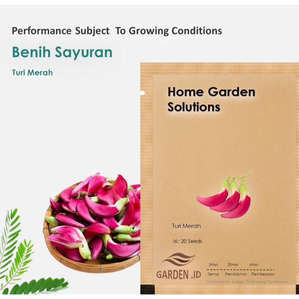 Jual Bibit Benih Sayur Turi Merah ( Isi 20 Biji ) | Shopee Indonesia