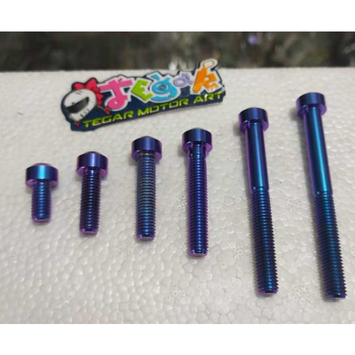Jual Baut titanium gr5 M8 atau Drat 12 SmallHead Lengkap Panjang 5.5 6 7 8 9 cm | Shopee Indonesia