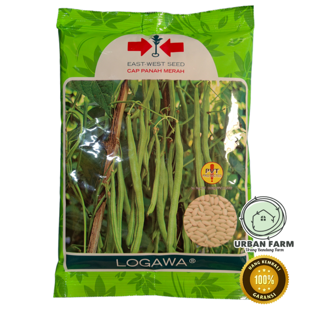 Jual Benih Buncis LOGAWA 500gram / Benih Buncis Cap Panah Merah ...