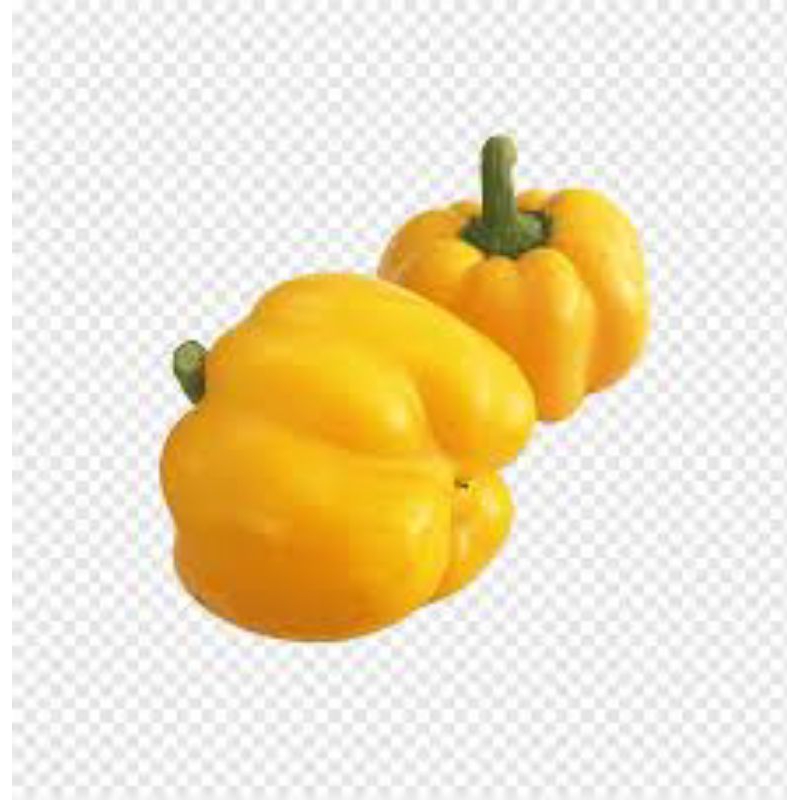 Jual paprika kuning 1kg | Shopee Indonesia