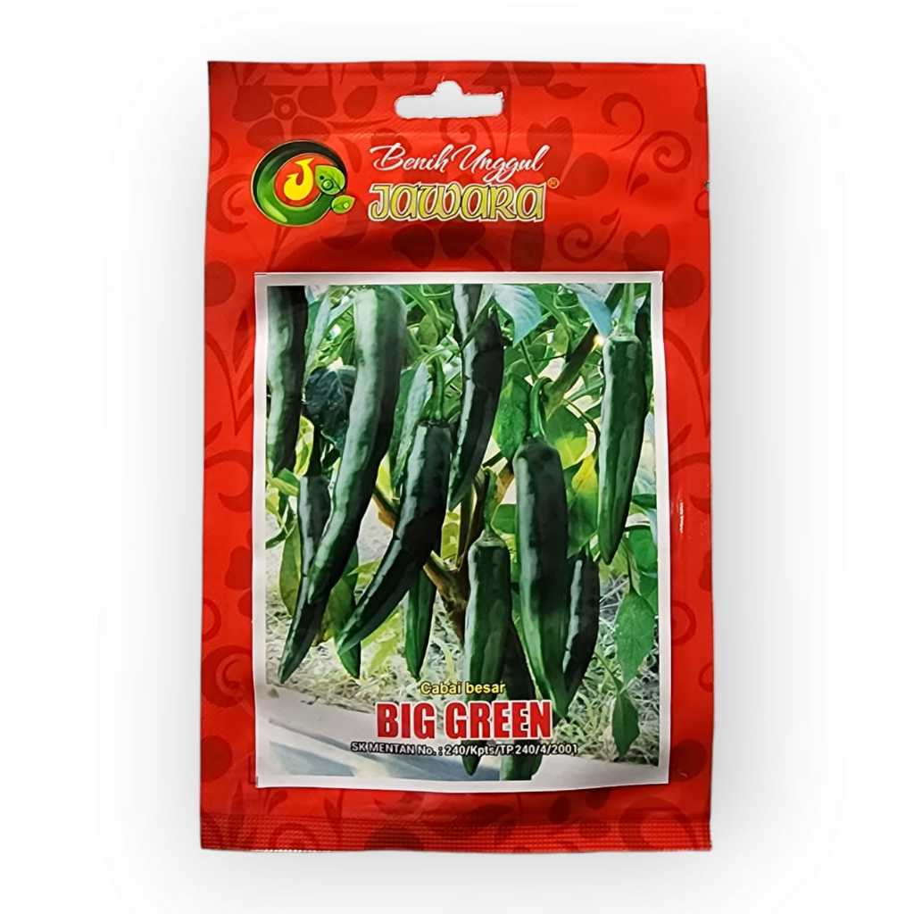 Jual Benih Cabai Besar BIG GREEN isi 10 gr - Bibit cabe Hijau Besar ...