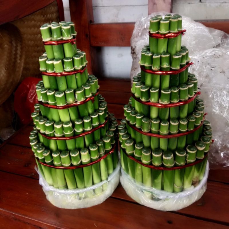 Jual Bambu Hoki Rejeki Jumbo 5 Susun Rapi Dan Cantik Siap Menjadi ...