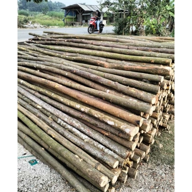 Jual Kayu Dolken Terlengkap & Harga Terbaru Mei 2026 | Shopee Indonesia