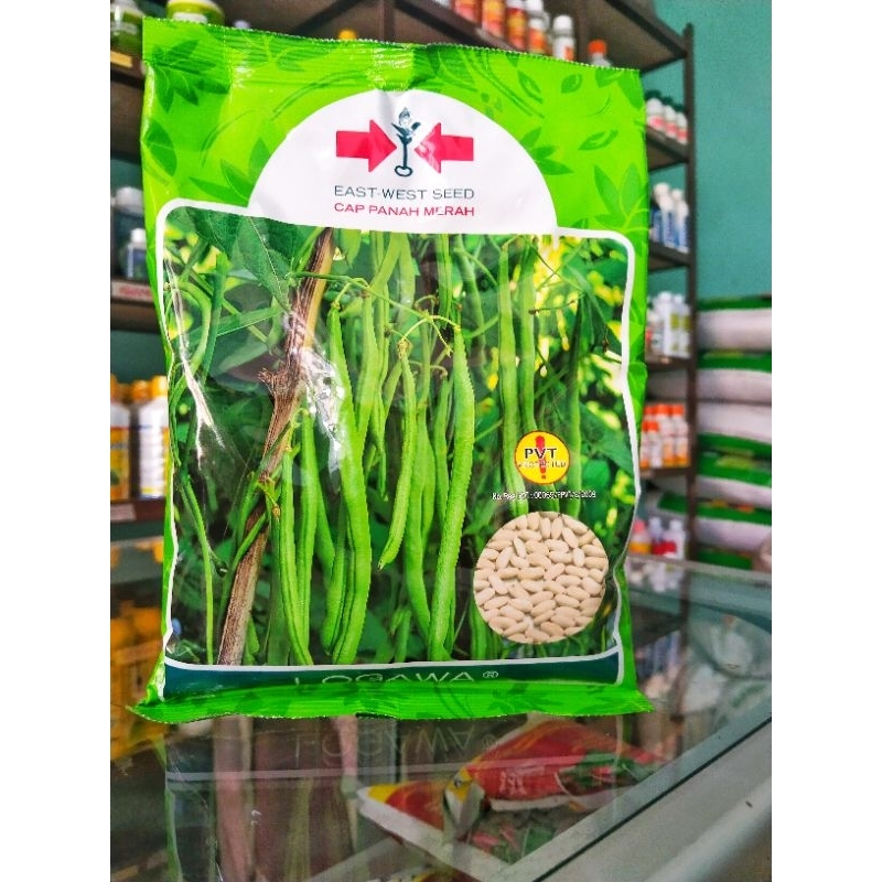 Jual LOGAWA Bibit Buncis isi 500Gr Kemasan sendiri di Ripack | Shopee ...