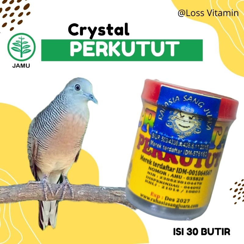 Jual CRYSTAL PERKUTUT JAMU PERKUTUT BANGKOK RAHASIA SANG JUARA ISI 30 ...
