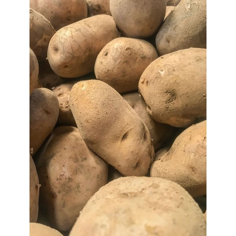 Jual Kentang Dieng Premium 1kg | Shopee Indonesia