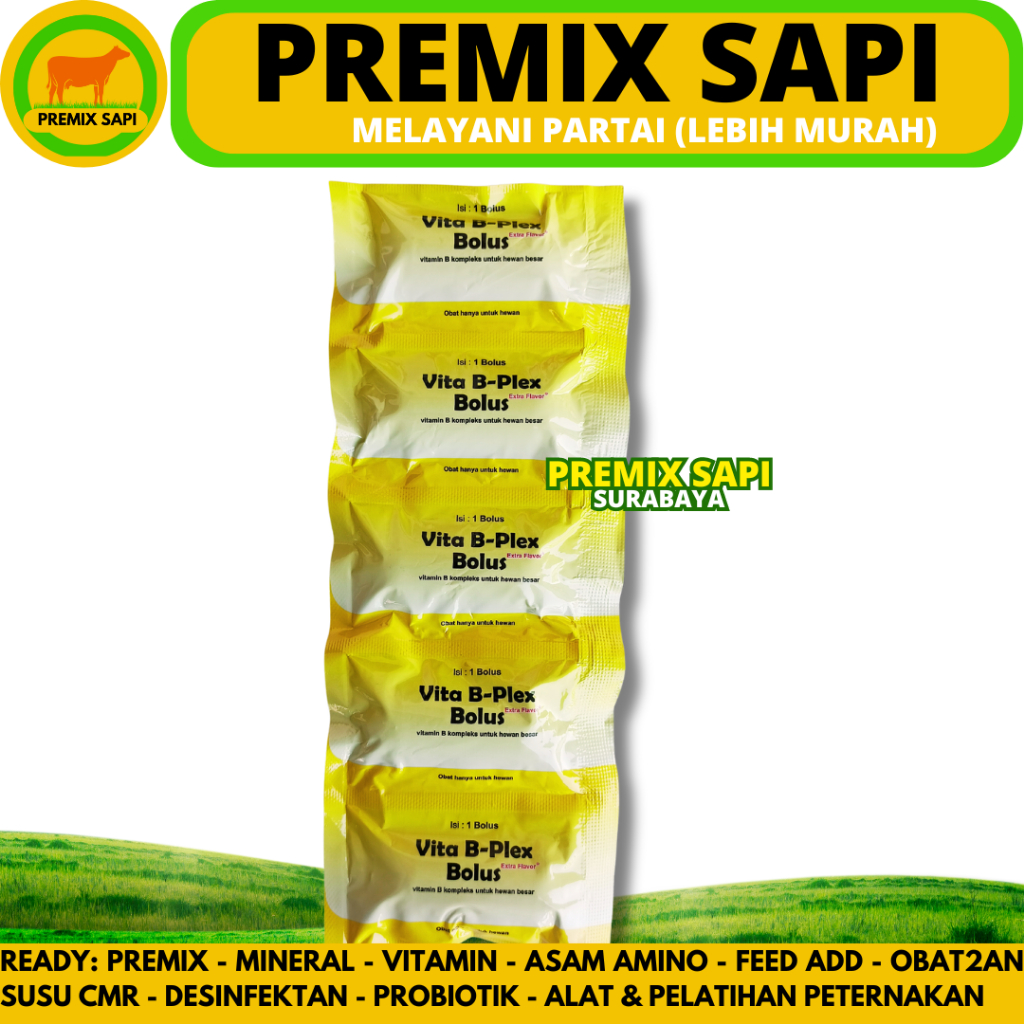 Jual VITA B PLEX BOLUS SACHET (5 BOLUS) EXTRA FLAVOR - Vitamin B ...