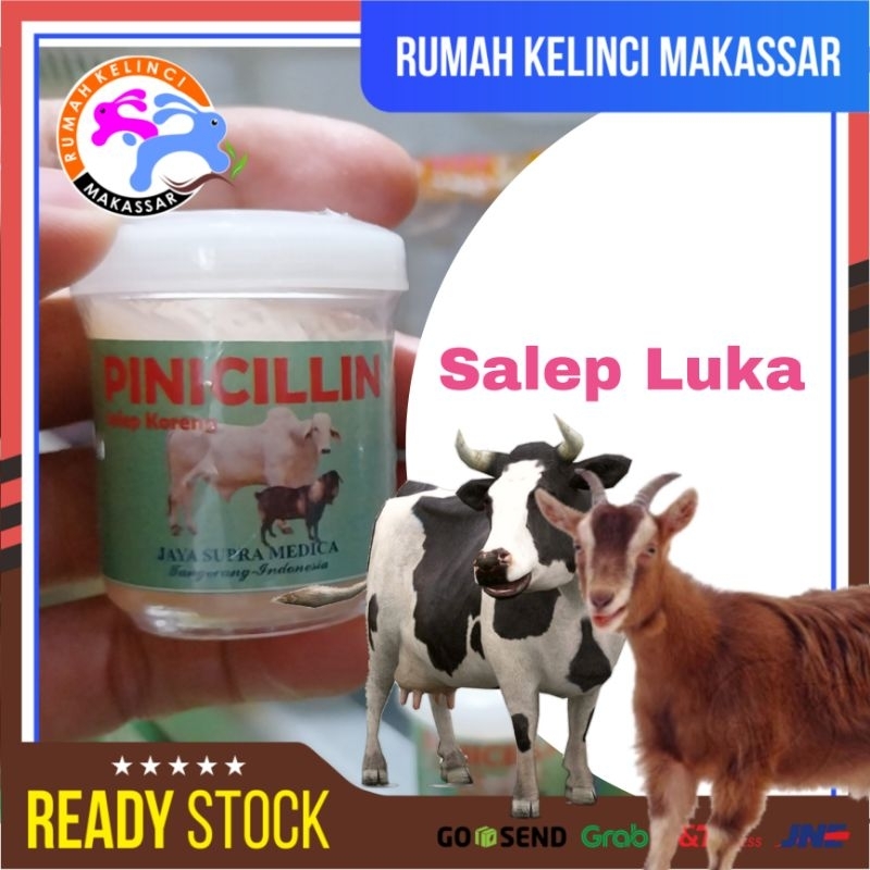 Jual PINICILLIN Pinisilin Pinicilin Salep Koreng Sapi Kambing Kerbau ...
