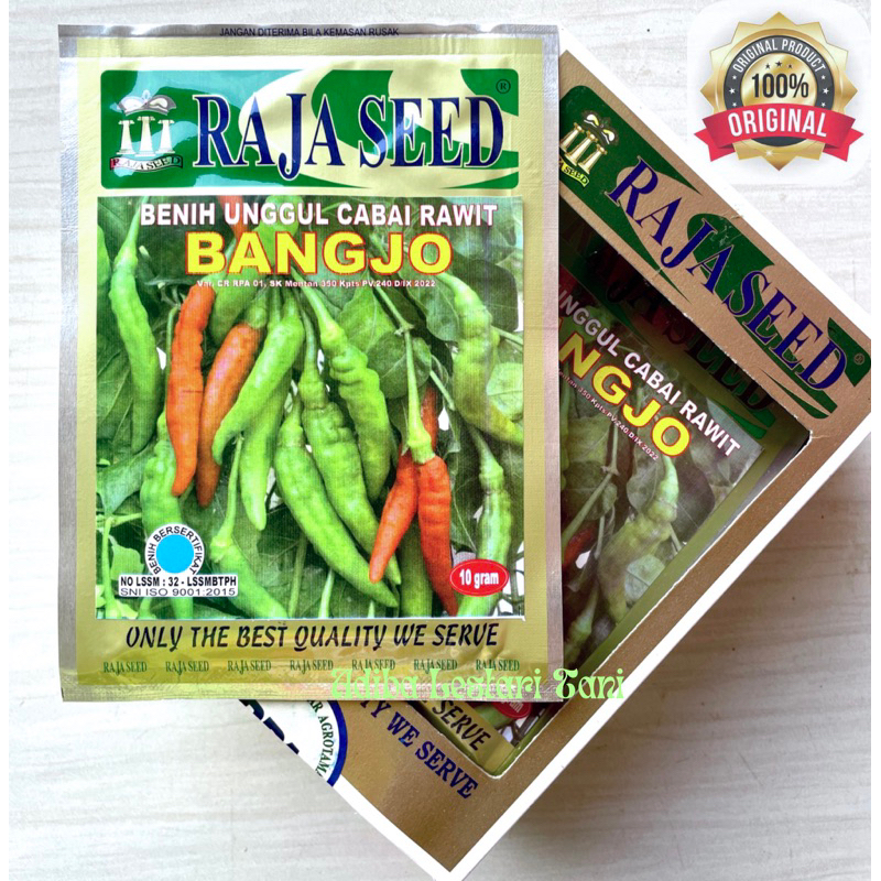 Jual Benih Unggul Cabe Rawit BANGJO 10Gram - Cabai Rawit Hijau Merunduk ...