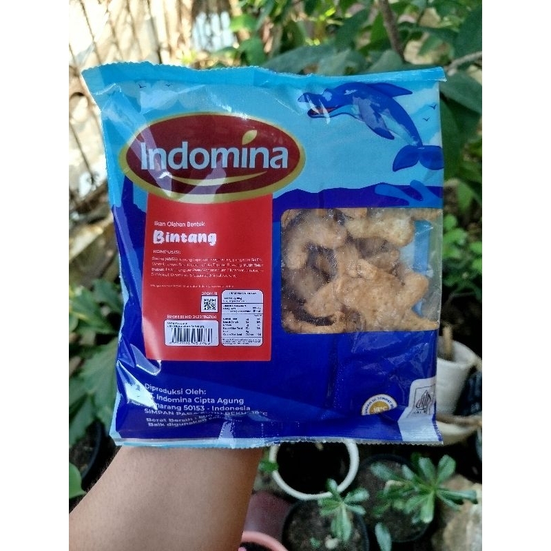 Jual Indomina Ikan Olahan Bentuk Ikan (Tempura Bintang) Kemasan 500gram ...