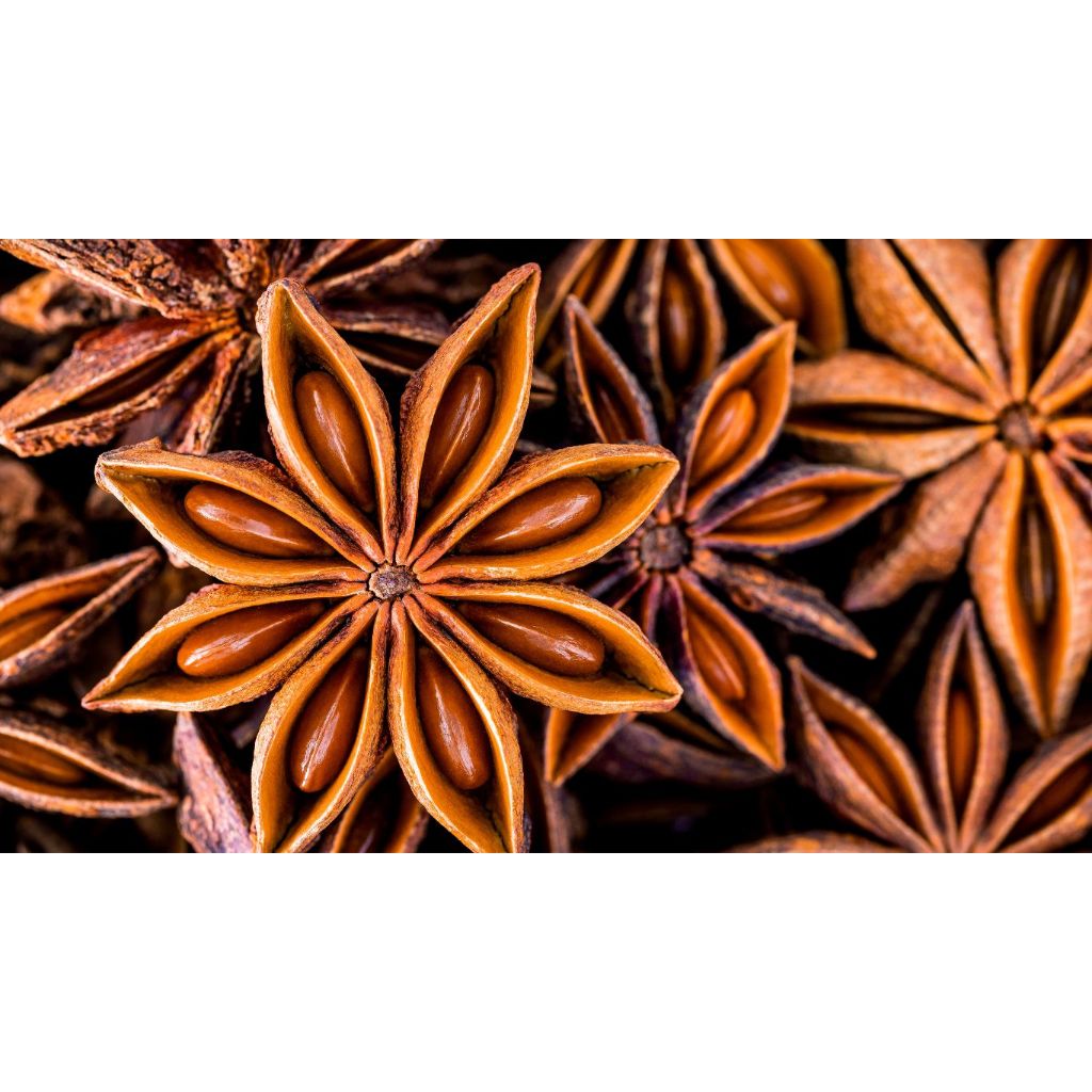 Jual [ 50 Gr 100 Gr 250 Gr 500 Gr ] Bunga Lawang Star Anise Pekak Shopee Indonesia