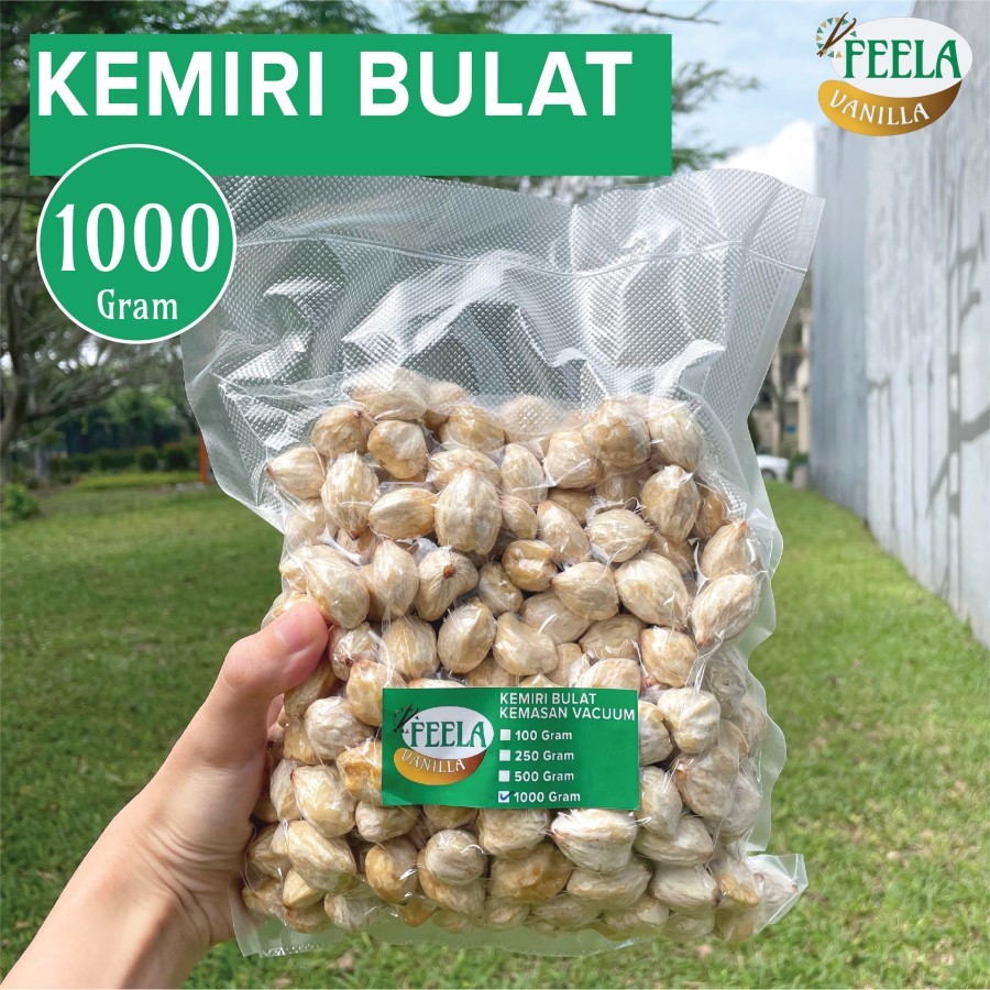 Jual Kemiri Bulat Utuh 1Kg 1000gr 1000, 500, 100 Gram - Biji Kemiri ...
