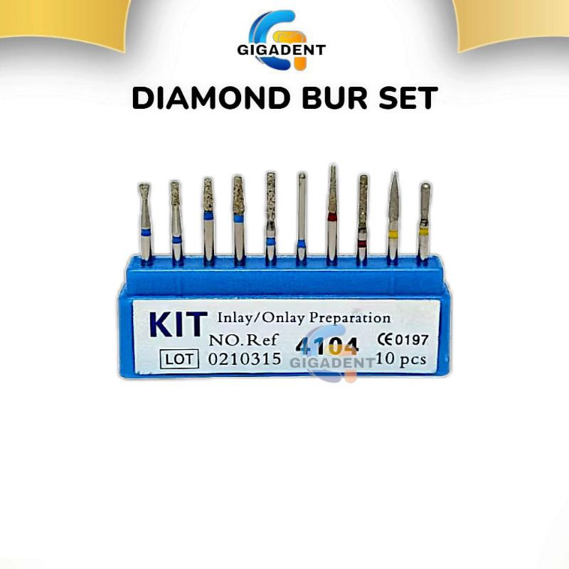 Jual DENTAL DIAMOND BUR SET KIT / DIAMOND BUR SET | Shopee Indonesia