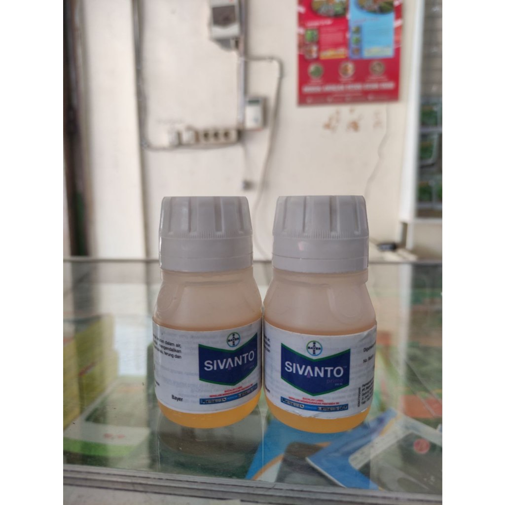 Jual Insektisida SIVANTO PRIME 200SL - 50ML | Shopee Indonesia