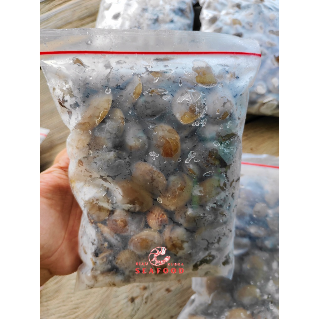 Jual Kerang Remis/Kerang Laya Segar Beku 500gram PerPack | Shopee Indonesia