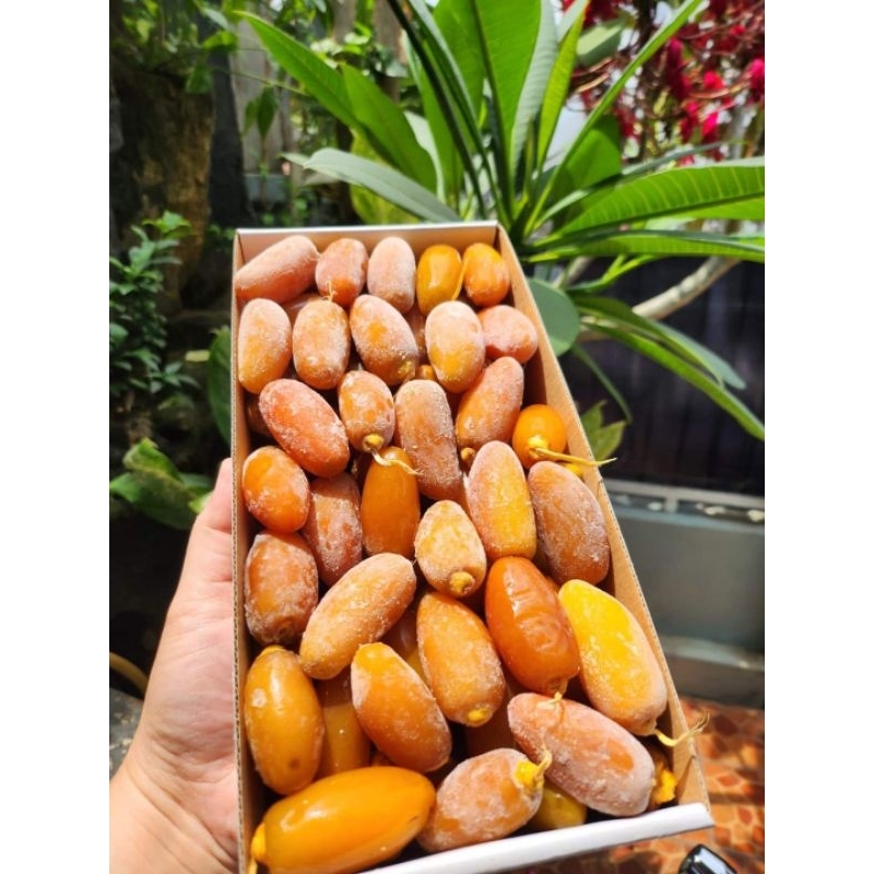 Jual Kurma Ruthob Ruthab Libya 1kg - Kurma Basah - Enak dan Lezat ...