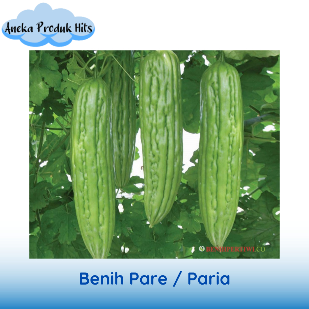 Jual Benih Pare / Paria Hibrida F1 isi 3 biji | Shopee Indonesia