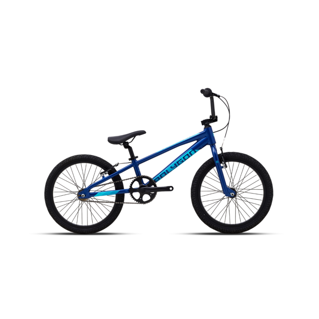 Jual Sepeda Polygon ROGUE 20X8 BLUE S | Shopee Indonesia