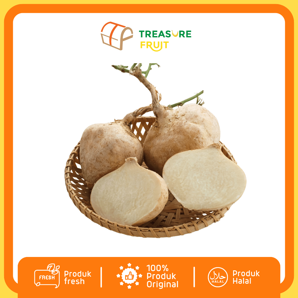 Jual BENGKOANG Fresh 1 KgI Treasure Fruit - Buah Sehat dan Segar ...