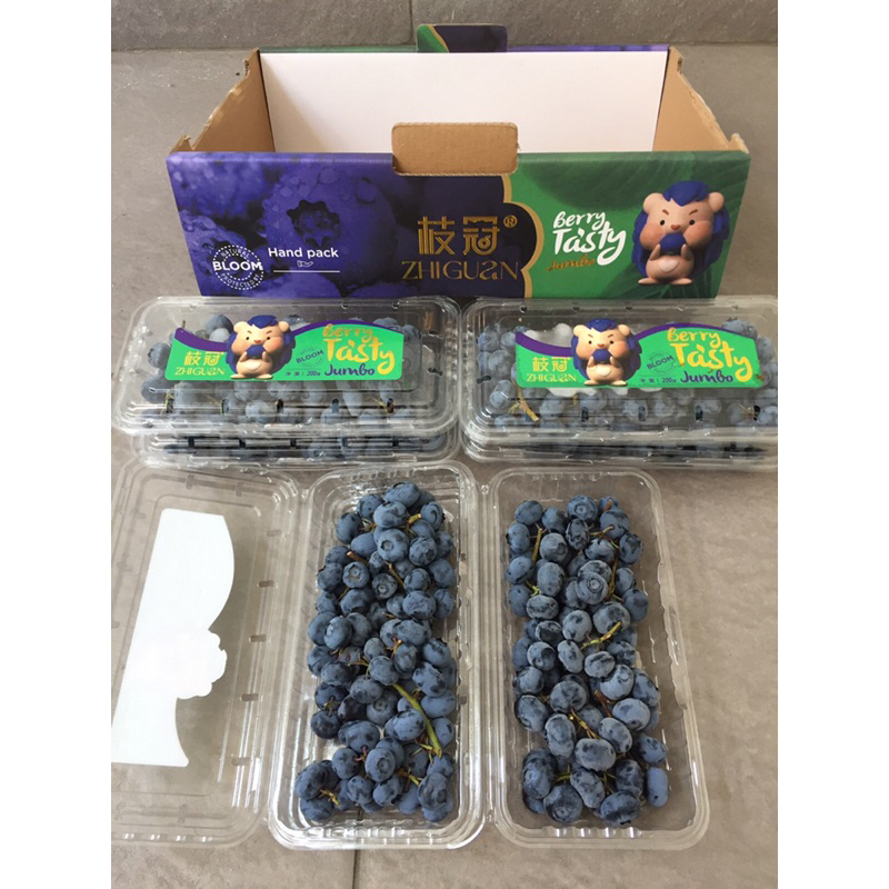 Jual Buah Blueberry Jumbo RRC 1 Dus (6 Pack) Fresh Import | Shopee ...
