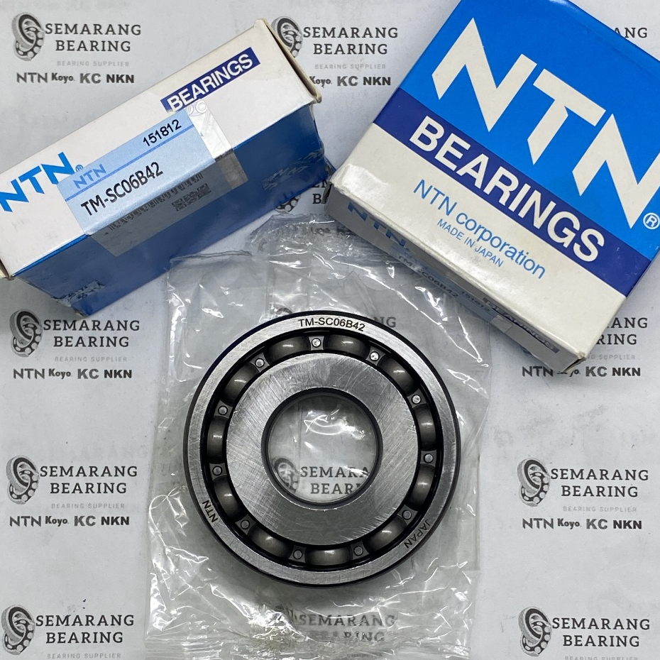 Jual BEARING TMSC06B42 NTN TMSC06 NTN JAPAN LAHER KRUK AS TIGER MEGA PRO GL PRO NEO | Shopee ...