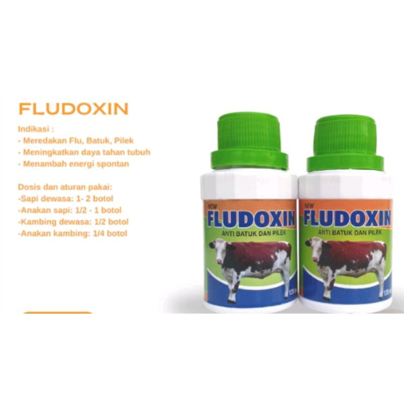 Jual Fludoxin Obat Flu Demam Batuk Pilek Sapi Kambing Fludoxan obat ...