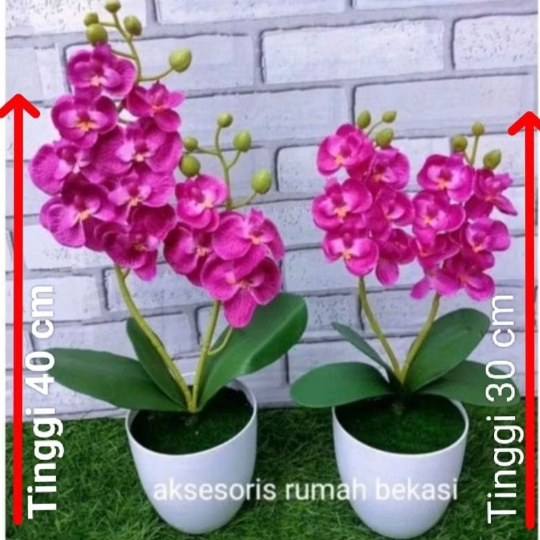 Jual BUNGA ANGGREK ARTIFICIAL 2 CABANG DENGAN POT BULAT LUMUT | Shopee ...