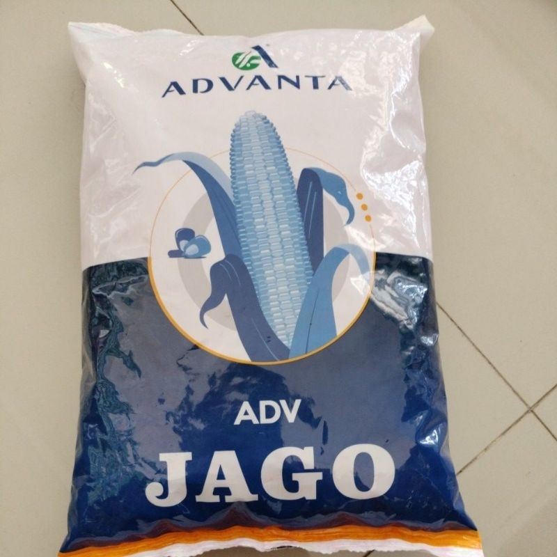 Jual benih JAGUNG ADVANTA JAGO 1KG exp Desember 2024 | Shopee Indonesia