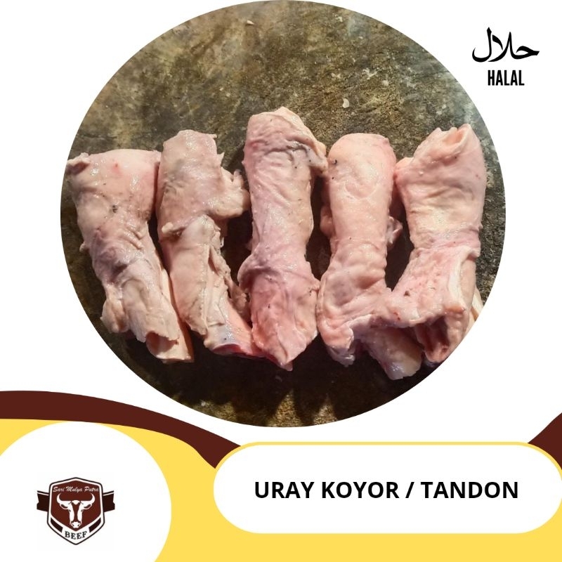 Jual urat sapi / urat tandon super / import 500gr | Shopee Indonesia