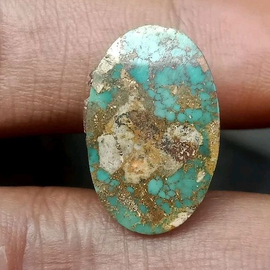 Jual natural pirus Persia Loston | Shopee Indonesia