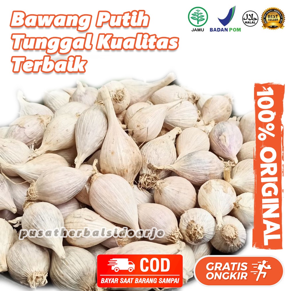 Jual Bawang Putih Tunggal Lokal / Bawang Lanang Lokal / Panen Sendiri | Shopee Indonesia