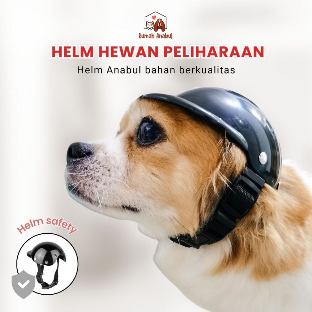 Jual Helm Anjing Kucing - Pet Helmet - Helm Hewan Peliharaan - Helm ...