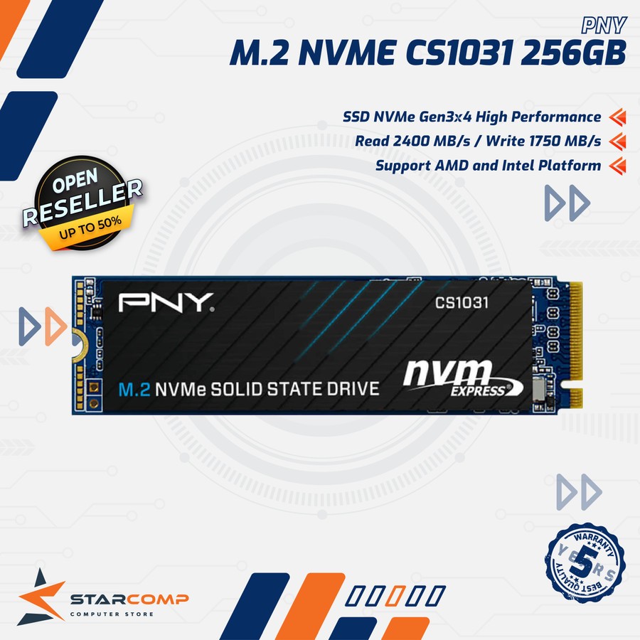 Jual PNY SSD NVMe 256GB CS1031 PCIE Gen 3x4 M.2 2280 | Shopee Indonesia