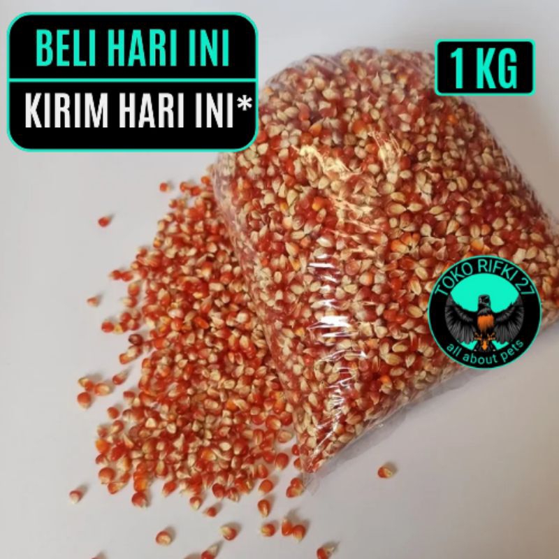Jual JAGUNG MERAH KRISTAL CILILIN SUPER PAKAN BURUNG MERPATI PAKAN AYAM ...