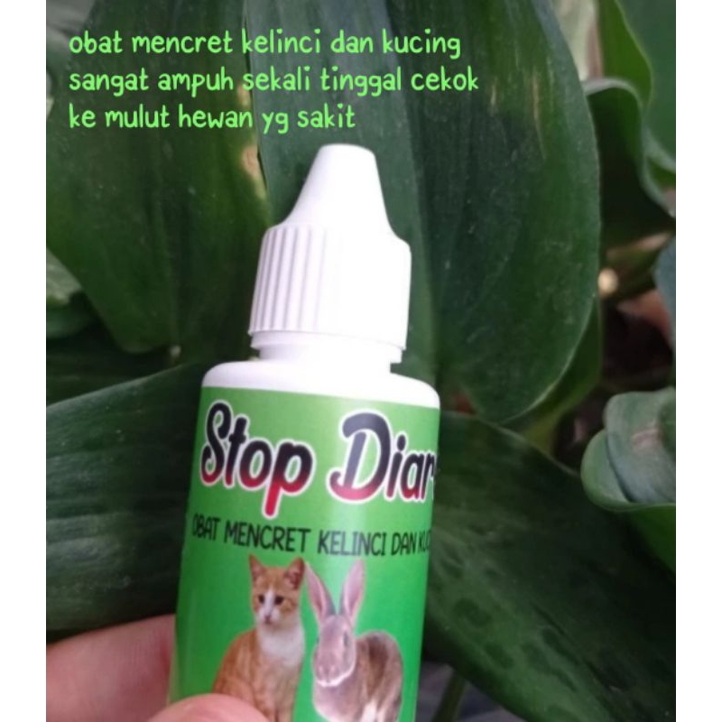 Jual stop diare obat mencret kelinci kucing | Shopee Indonesia