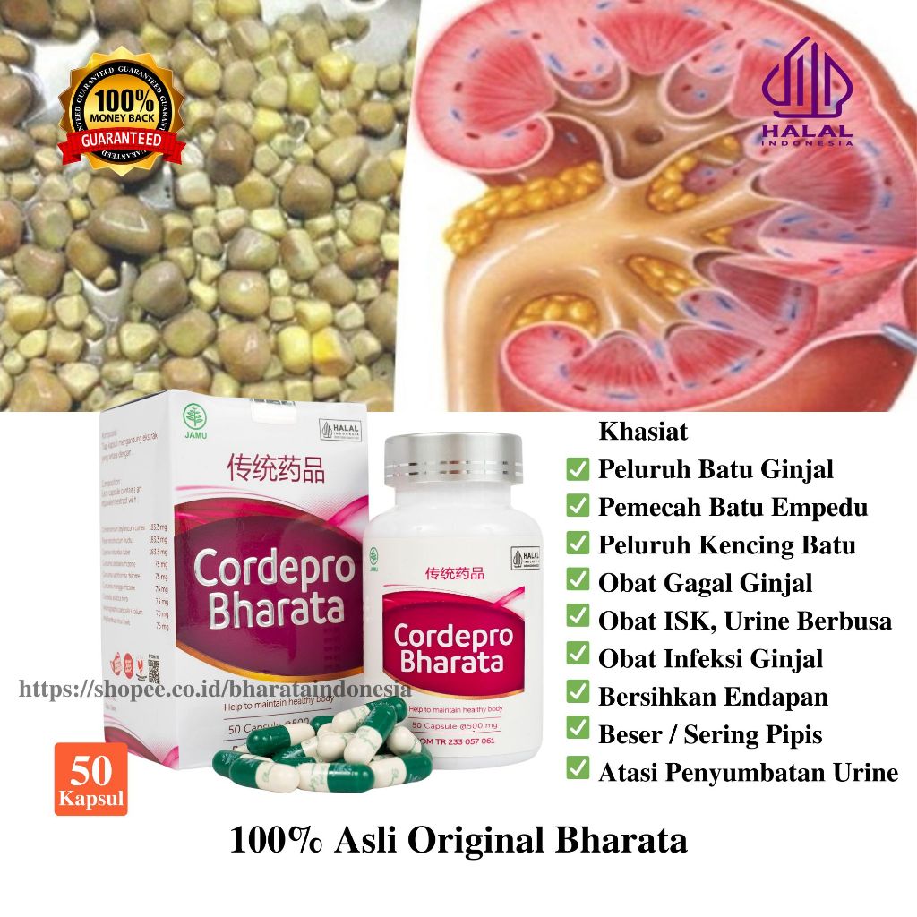 Jual Obat Batu Empedu Obat Batu Ginjal CORDEPRO BHARATA Pemecah Batu Kemih Obat Gagal Ginjal ...