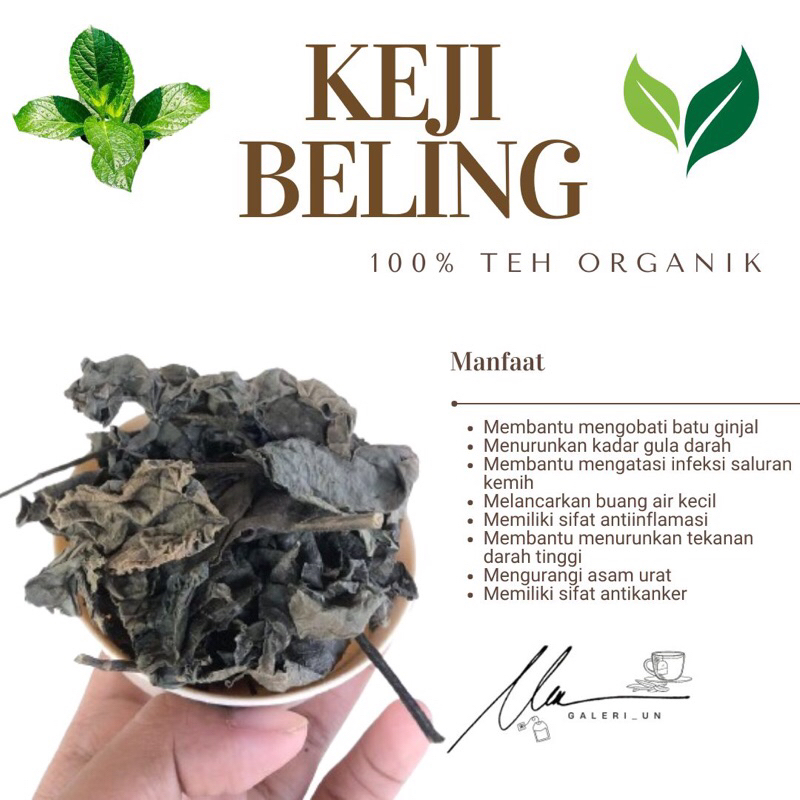 Jual DAUN KEJI BELING (100% TEH ORGANIK) | Shopee Indonesia